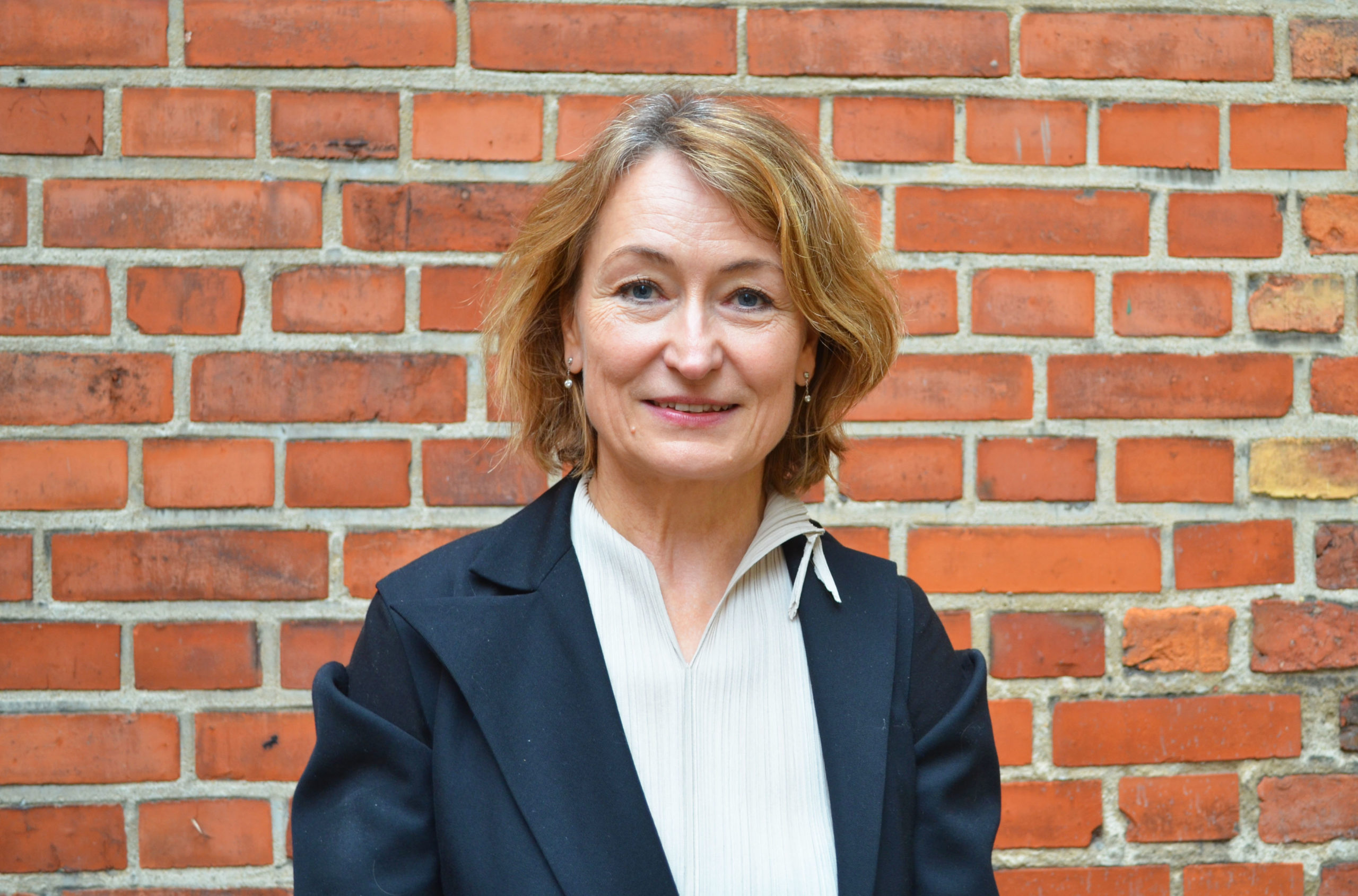 The New Assistant Secretary-General for Human Rights - The Raoul ...
