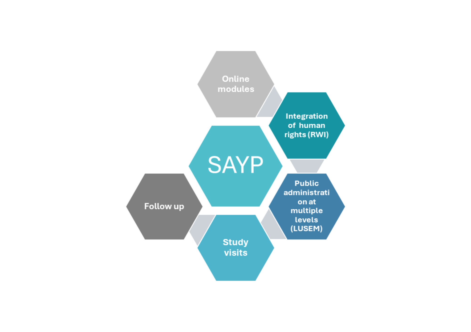 The Swedish Institute Academy for Young Professionals (SAYP) - The ...