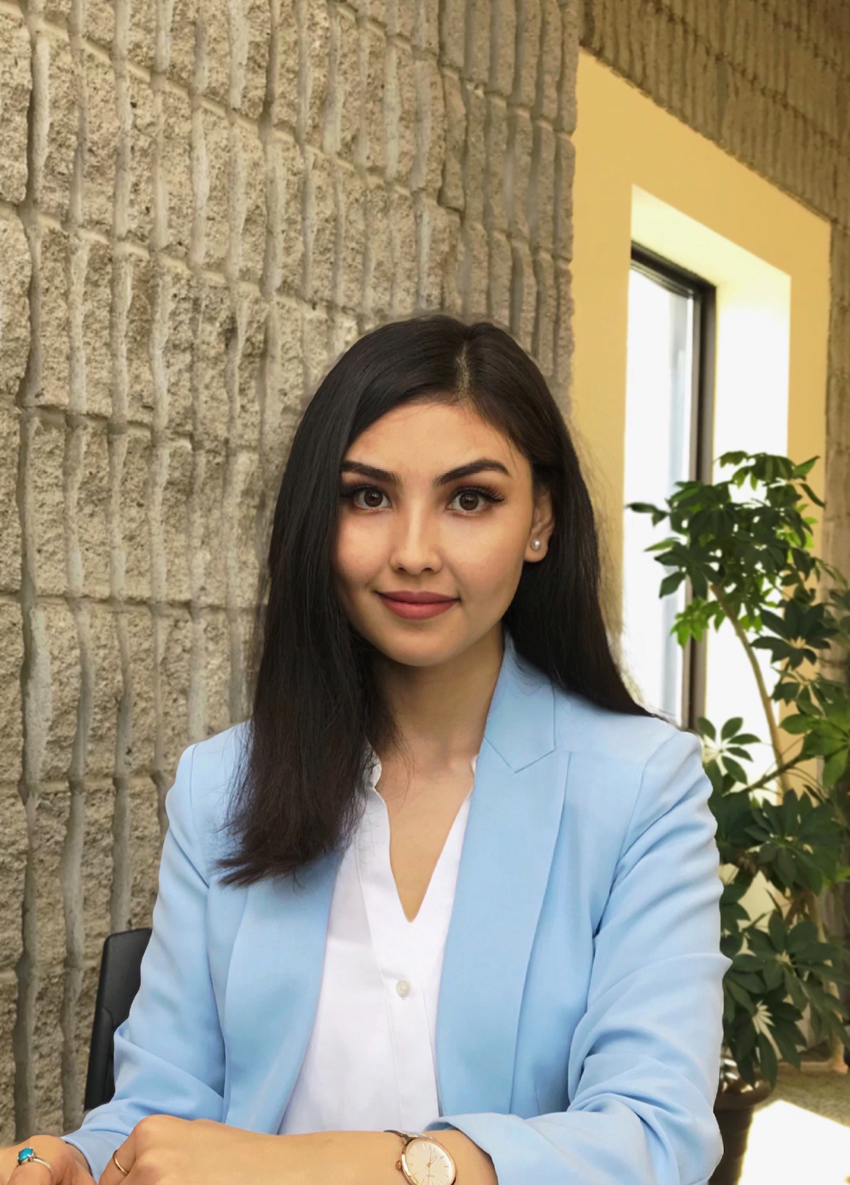 Manizha Ashna - The Raoul Wallenberg Institute of Human Rights and ...